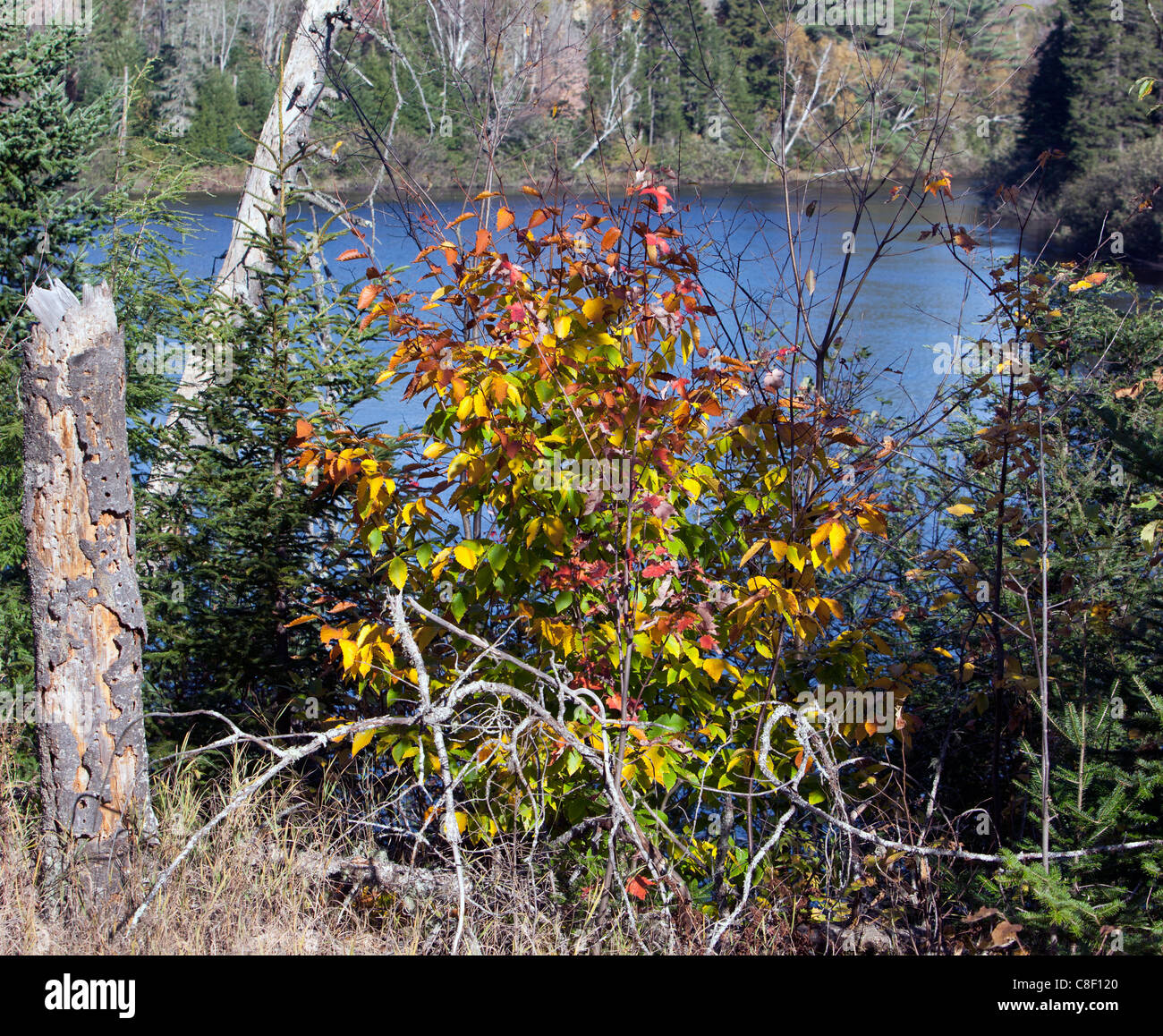 Autumn in new hampshire hi-res stock photography and images - Alamy