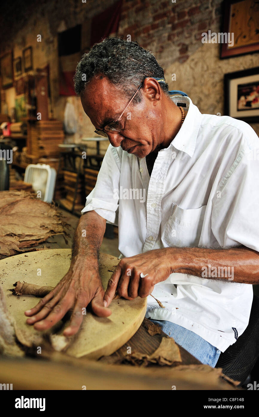 Man, rolling, cigar, leaves, Cigar Factory, New Orleans, French Quarter ...