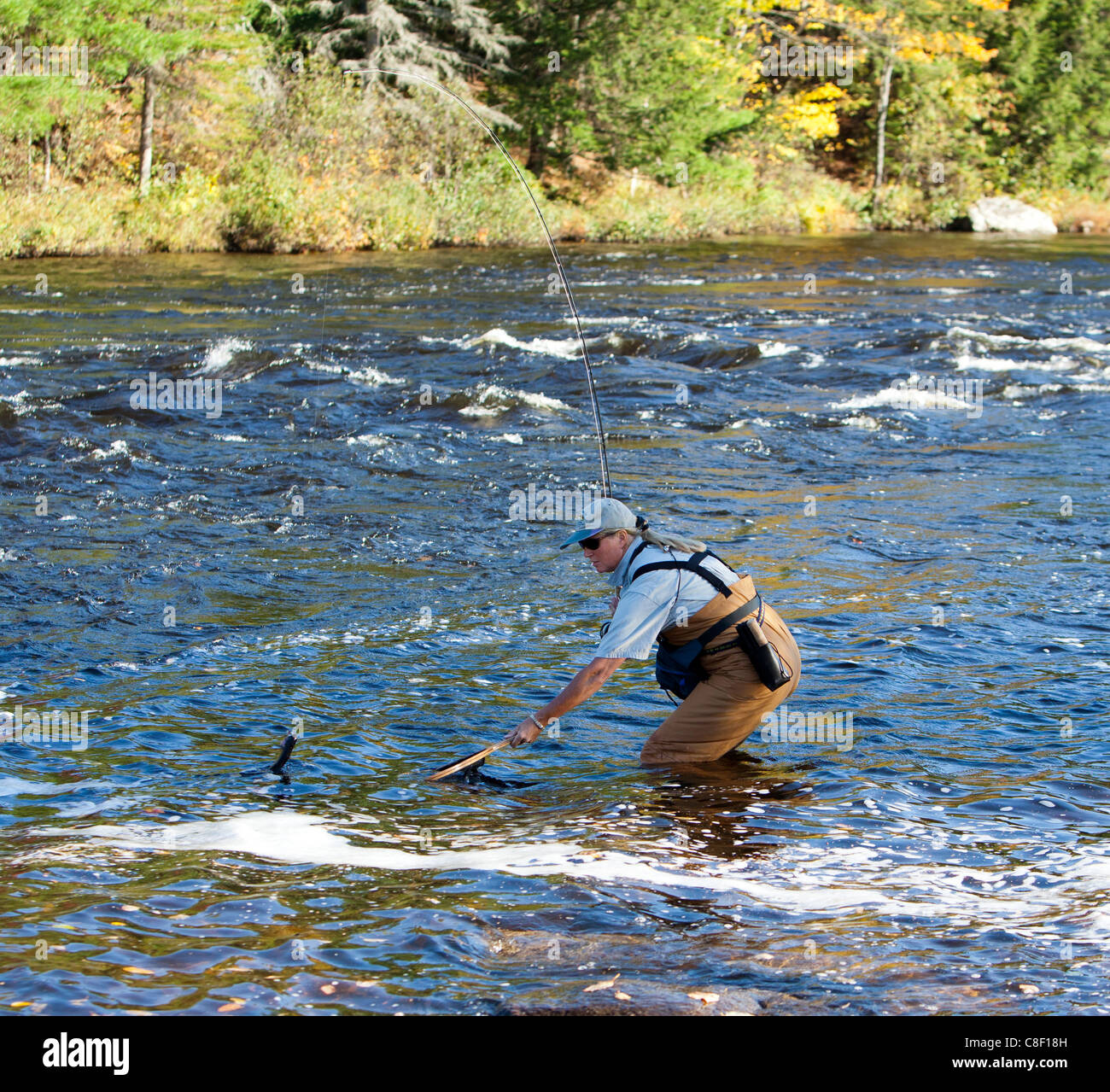Woman catching a fish hi-res stock photography and images - Alamy