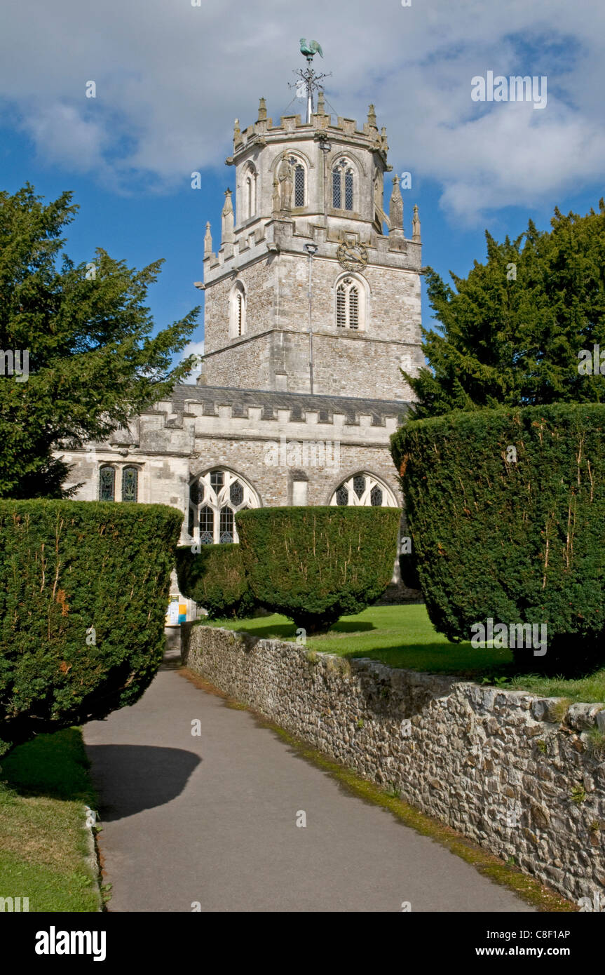 The Church of St Andrew, Colyton, Devon Stock Photo - Alamy