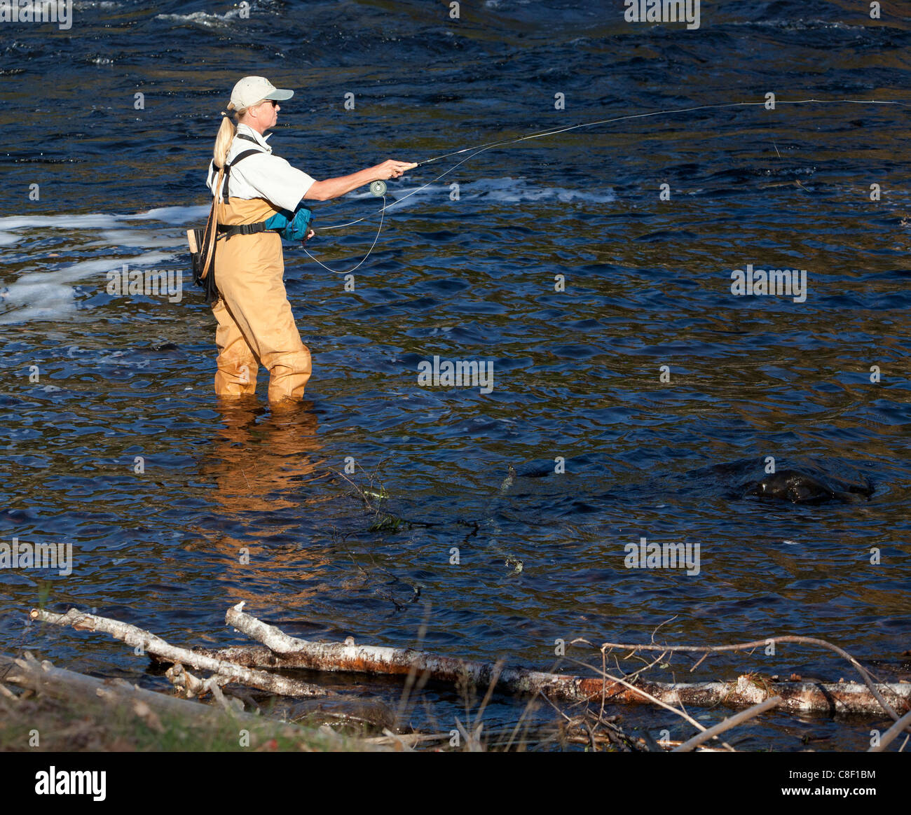 A woman fly fishing in a river with rapids Stock Photo - Alamy