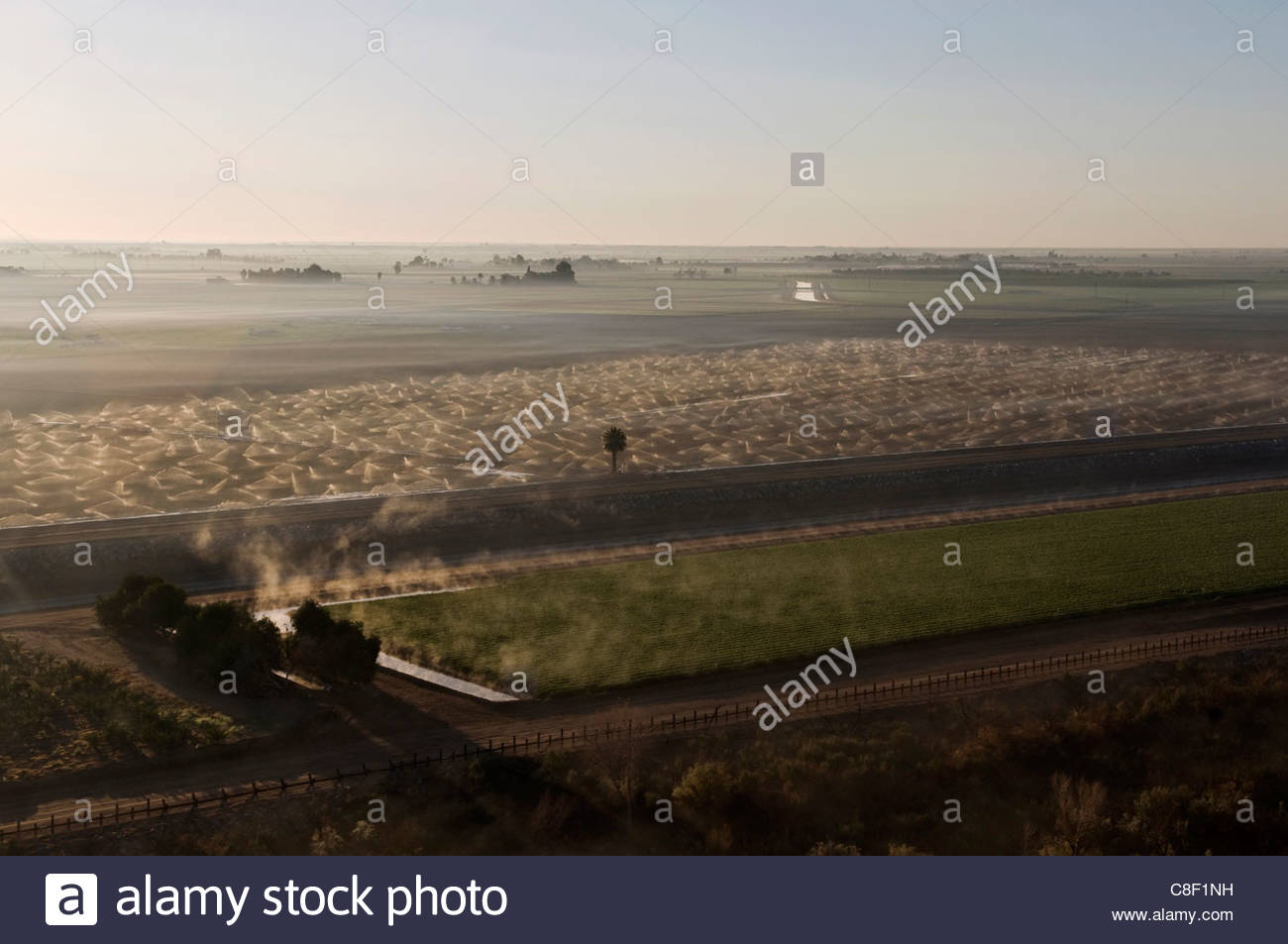 Irrigating Stock Photos & Irrigating Stock Images - Alamy