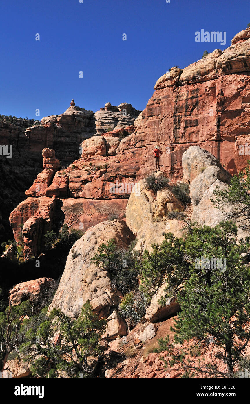 Bullet Canyon, Grand Gulch Primitive Area, Cedar Mesa, Colorado Plateau ...