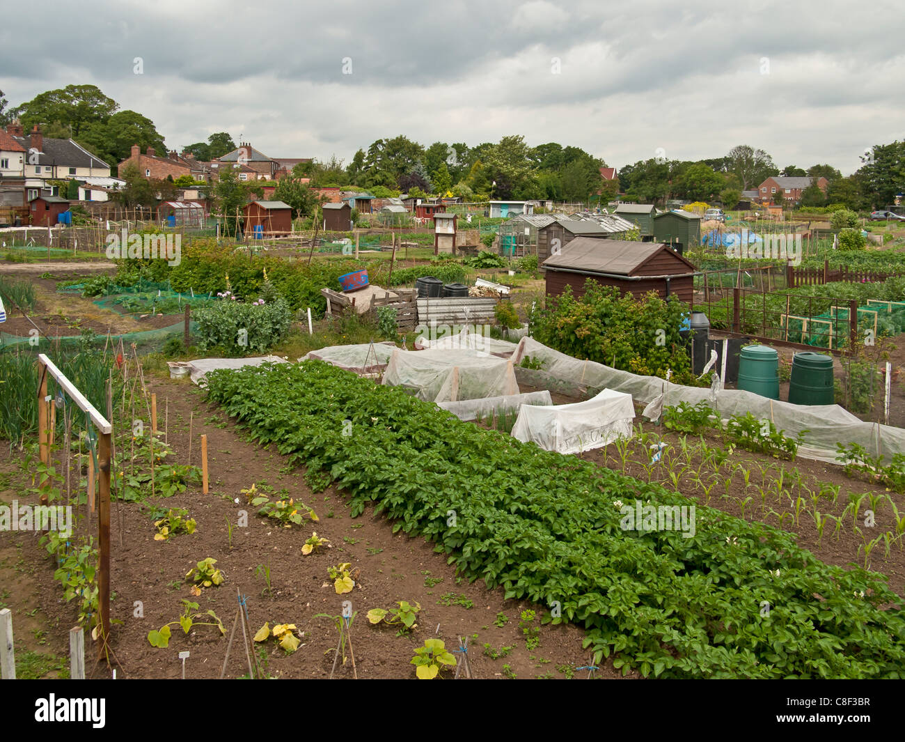 Uk Allotments High Resolution Stock Photography and Images - Alamy