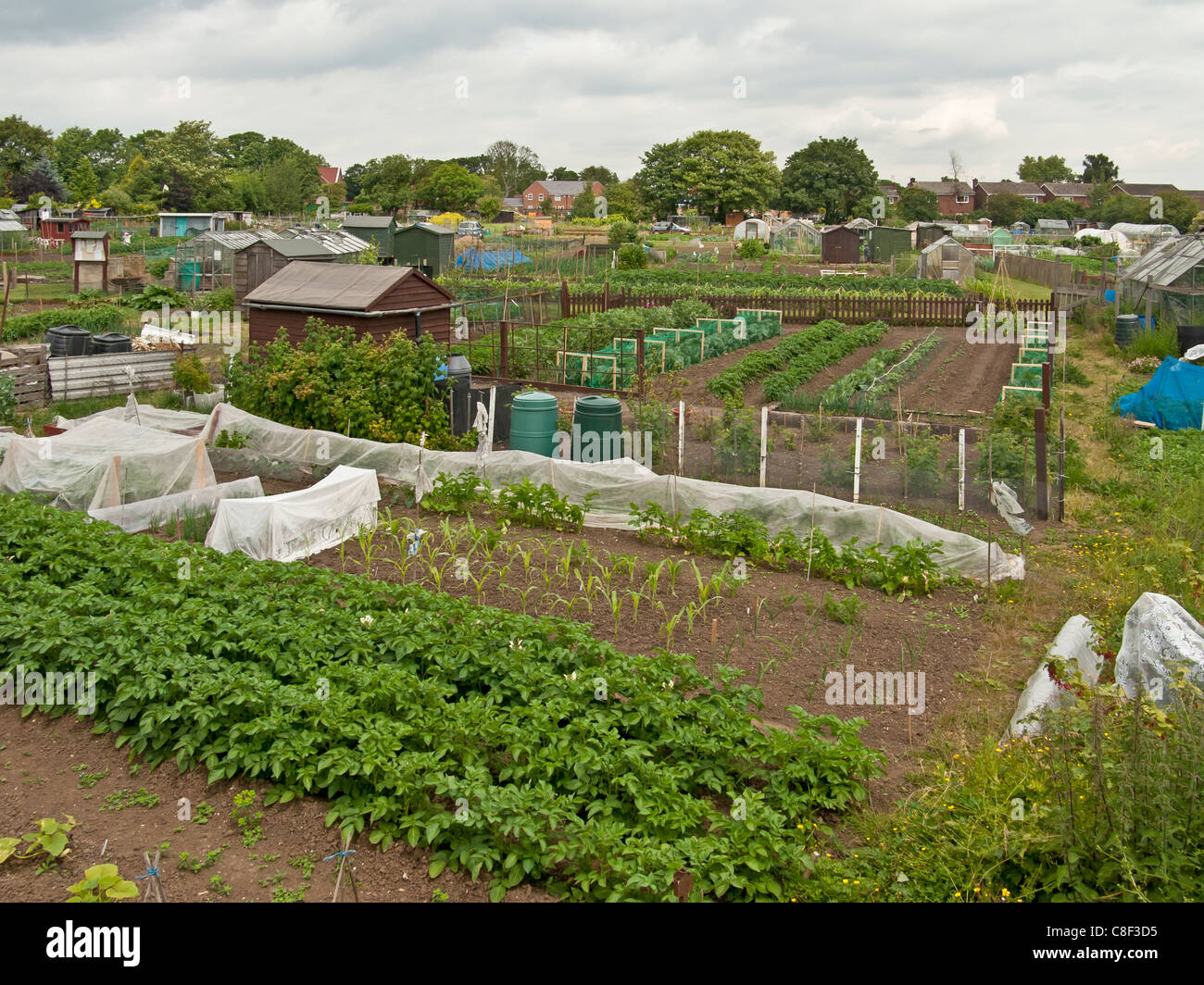 Allotments uk hi-res stock photography and images - Alamy