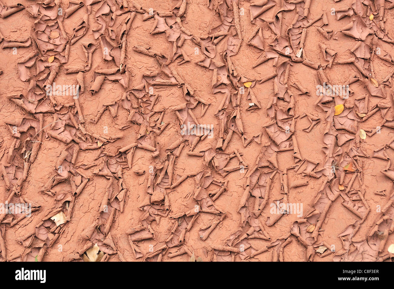 Bullet Canyon High Resolution Stock Photography and Images - Alamy