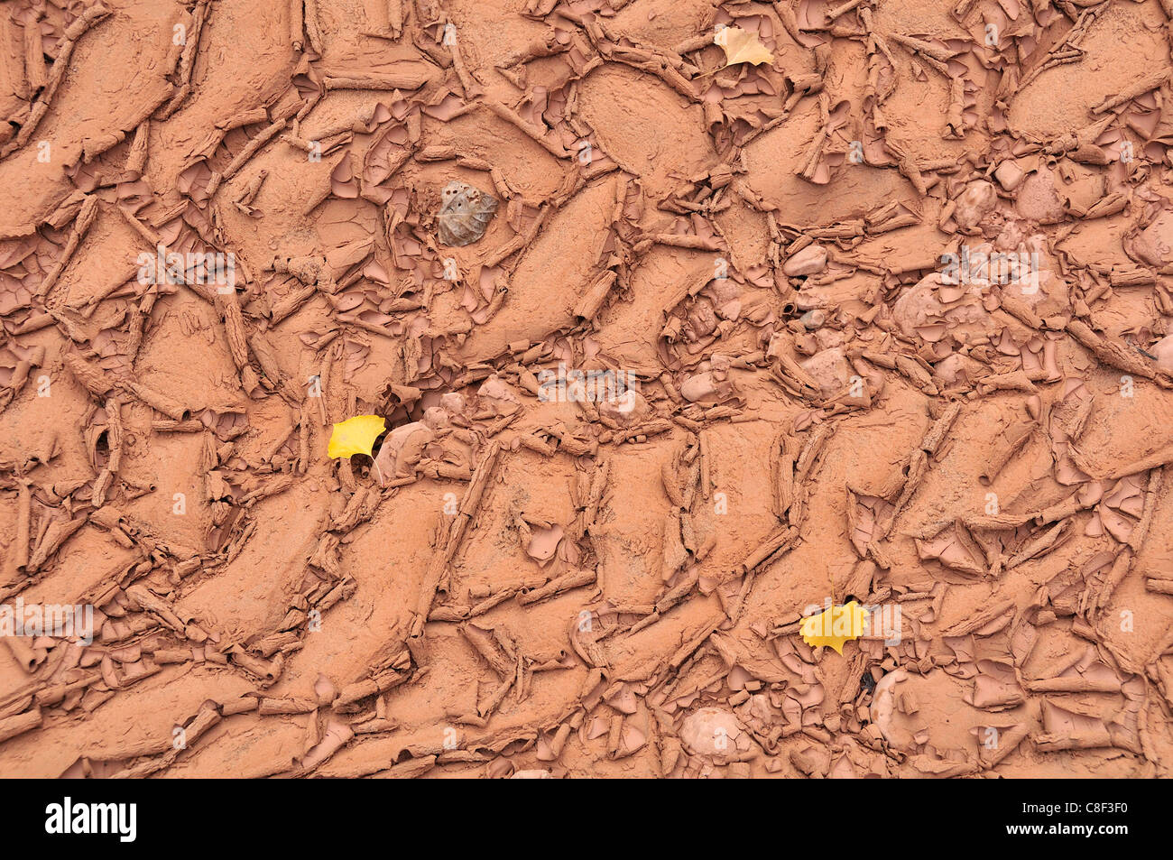 Bullet Canyon, Grand Gulch, Primitive Area, Cedar Mesa, Colorado ...