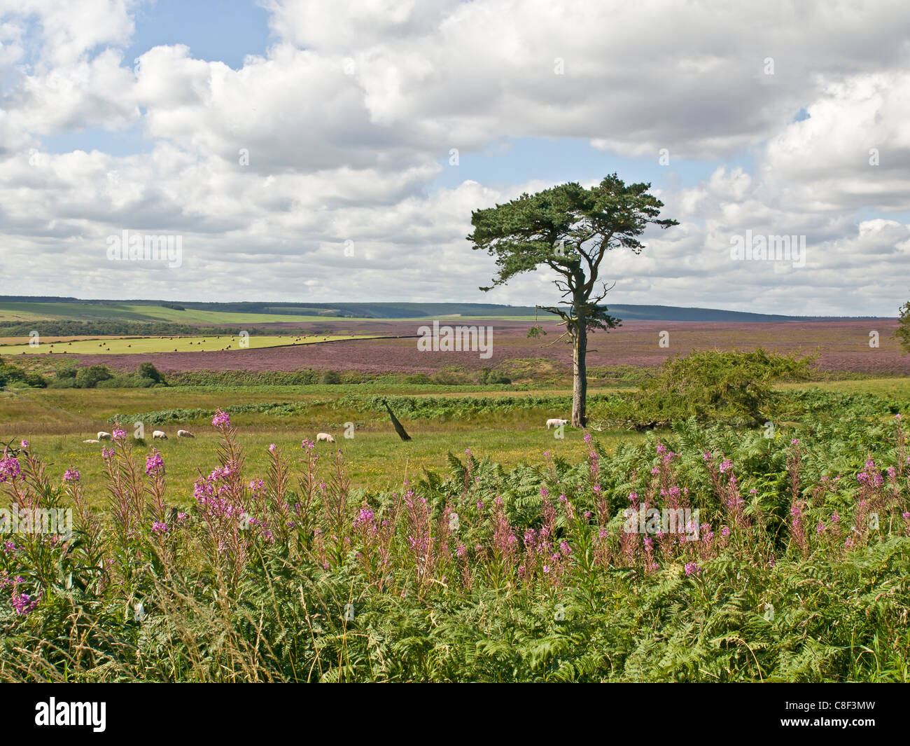Fylingdales hi-res stock photography and images - Alamy