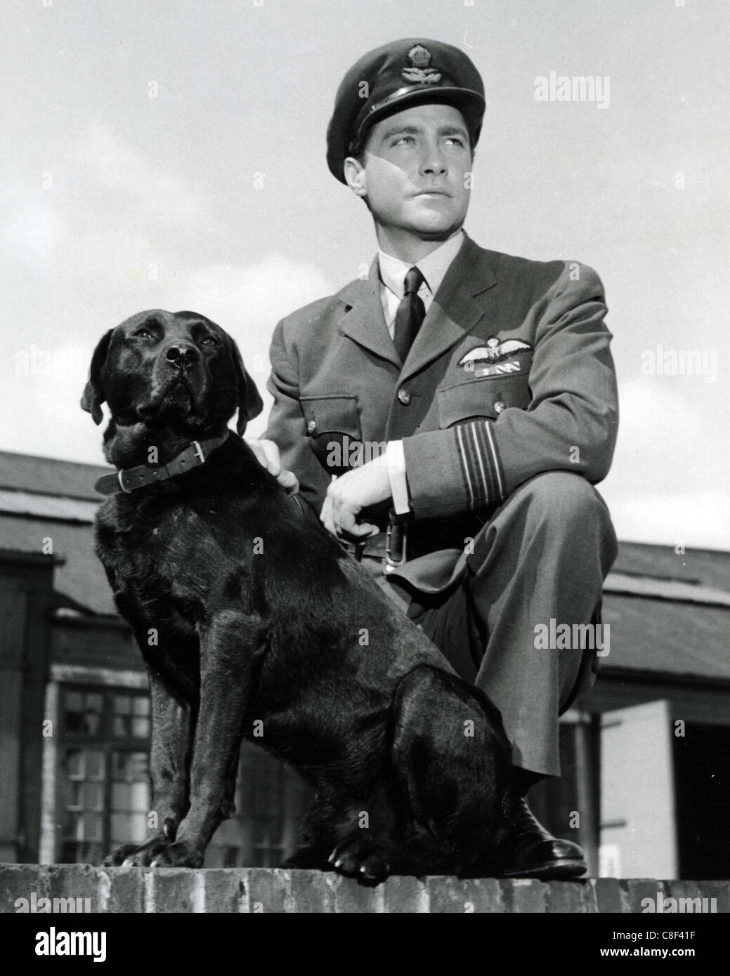 THE DAMBUSTERS Richard Todd as Wing Commander Guy Gibson with 'Nigger ...