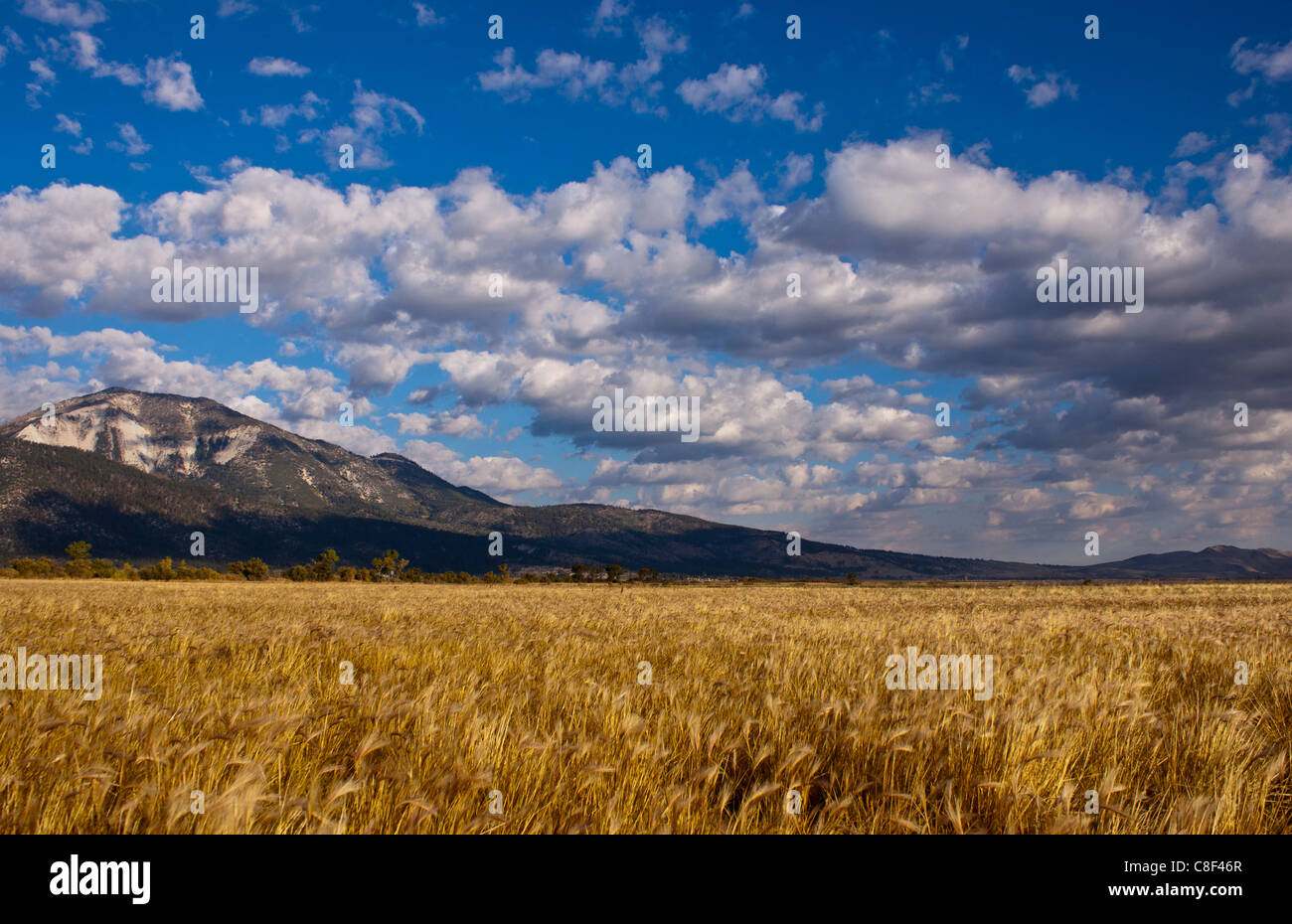 Landscape image of Slide Mountain Nevada Stock Photo - Alamy