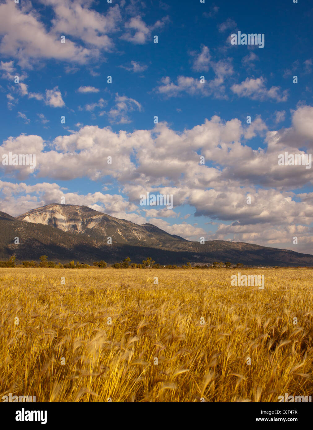 Image of Slide Mountain in Nevada Stock Photo - Alamy