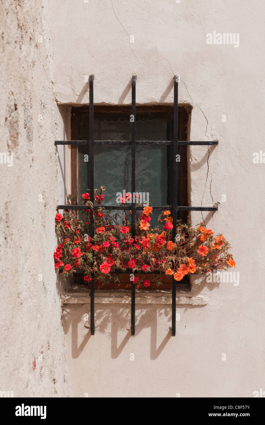 Tuscany window hi-res stock photography and images - Alamy