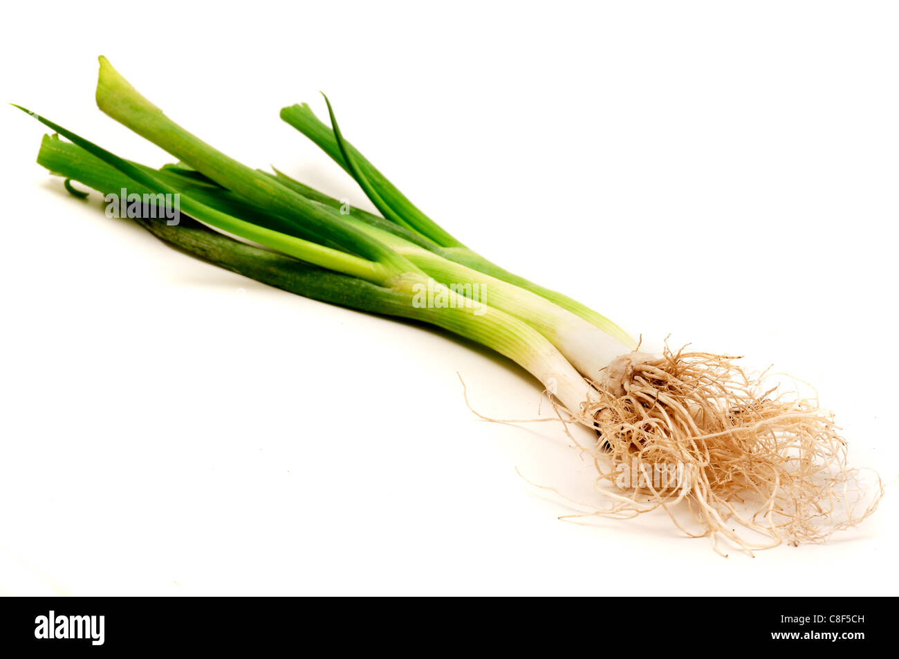Welsh onion on a white background Stock Photo - Alamy
