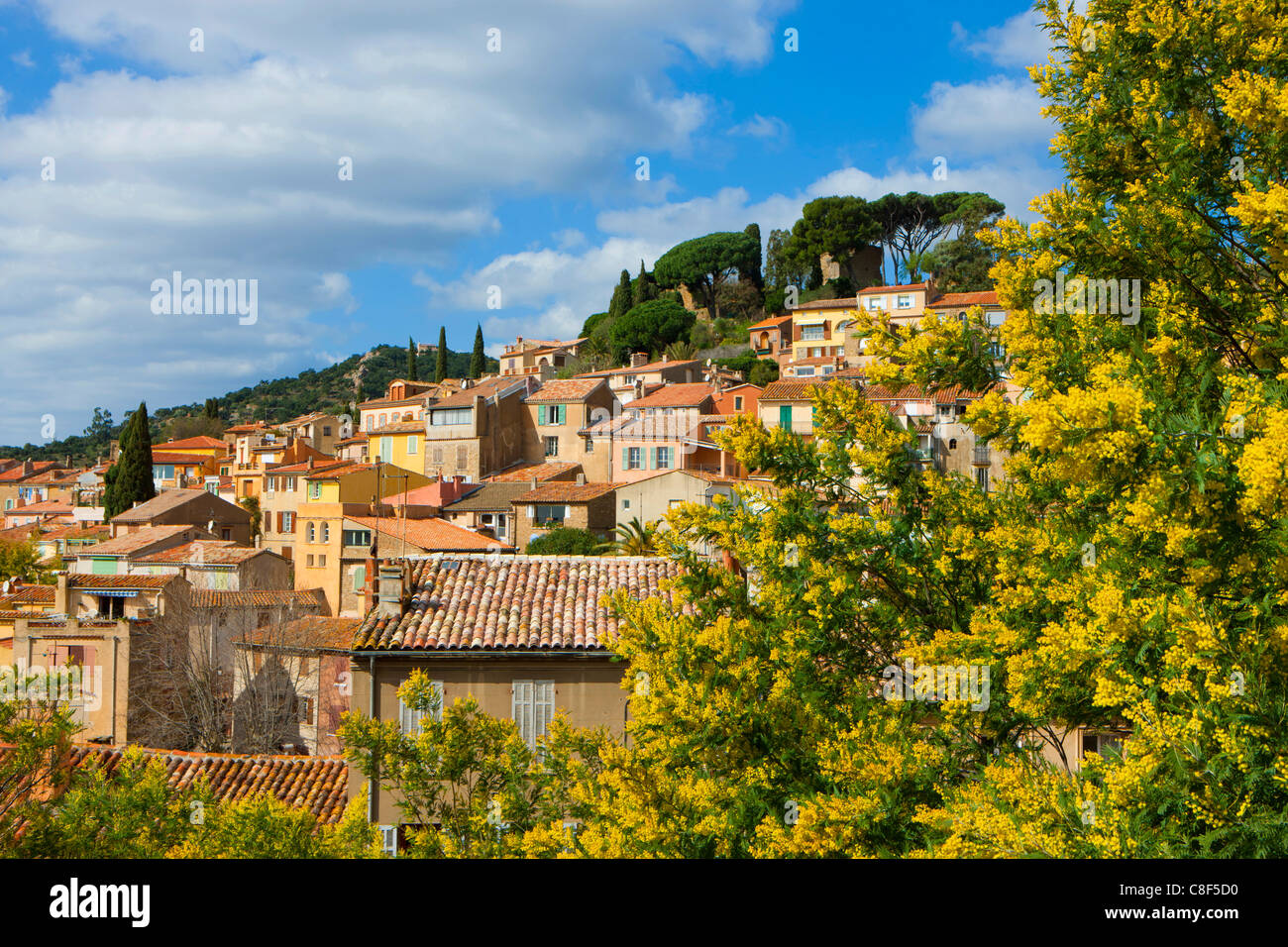 Bormes-les-Mimosas, France, Europe, Côte d'Azur, Provence, Var, town ...