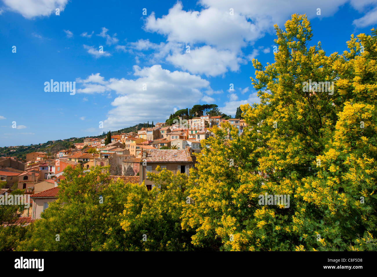 Bormes-les-Mimosas, France, Europe, Côte d'Azur, Provence, Var, town ...