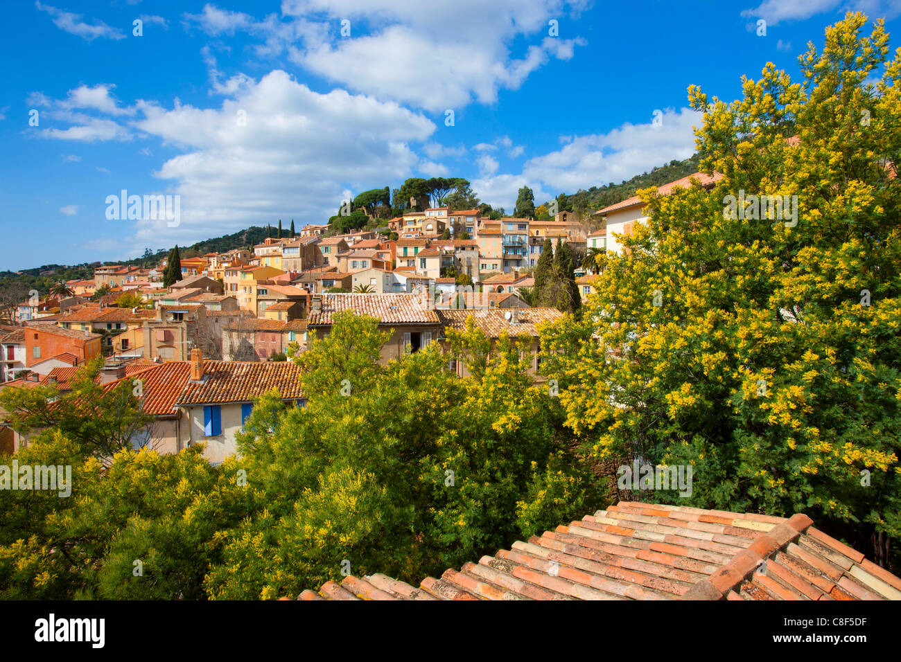 Bormes-les-Mimosas, France, Europe, Côte d'Azur, Provence, Var, town ...