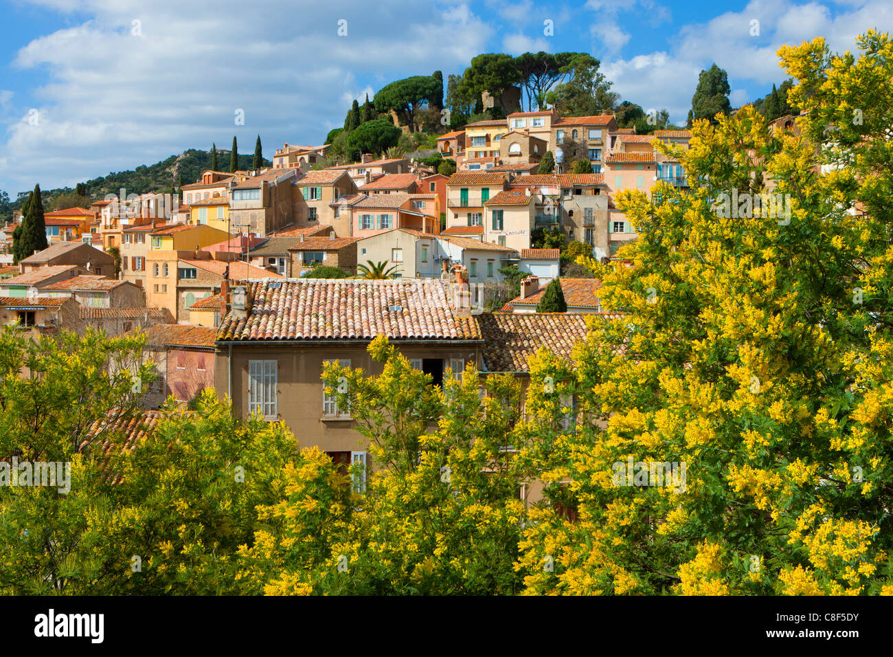 Bormes-les-Mimosas, France, Europe, Côte d'Azur, Provence, Var, town ...