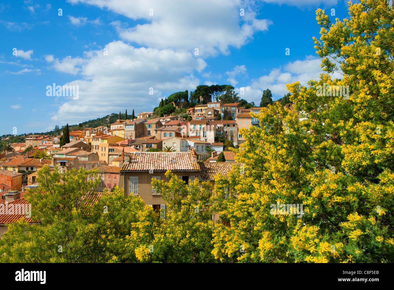Bormes-les-Mimosas, France, Europe, Côte d'Azur, Provence, Var, town ...