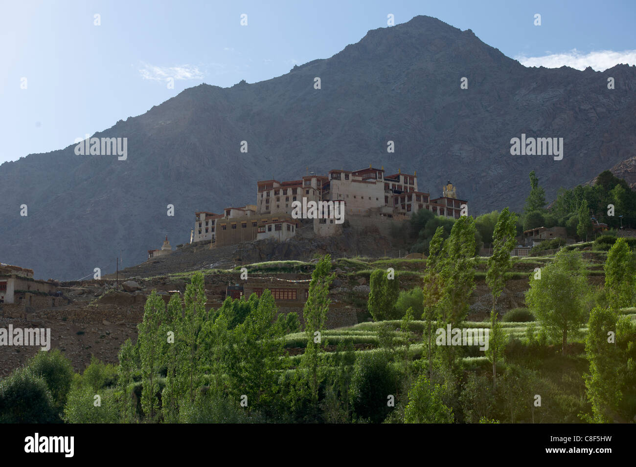 Likir Gompa, and terraced fields, (Ladakh) Jammu & Kashmir, India Stock ...