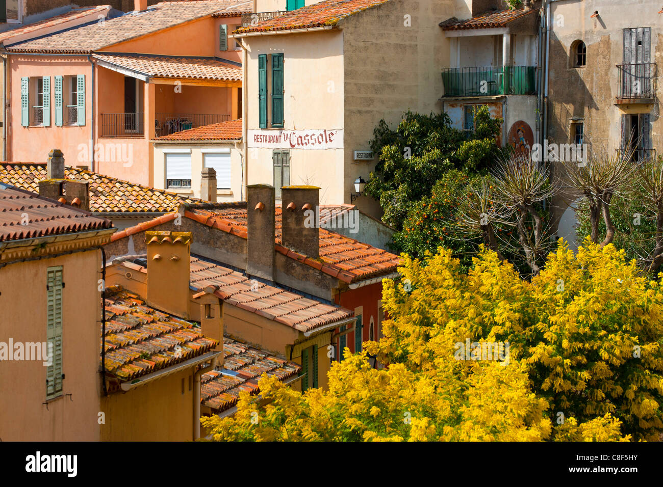 Bormes-les-Mimosas, France, Europe, Côte d'Azur, Provence, Var, town ...