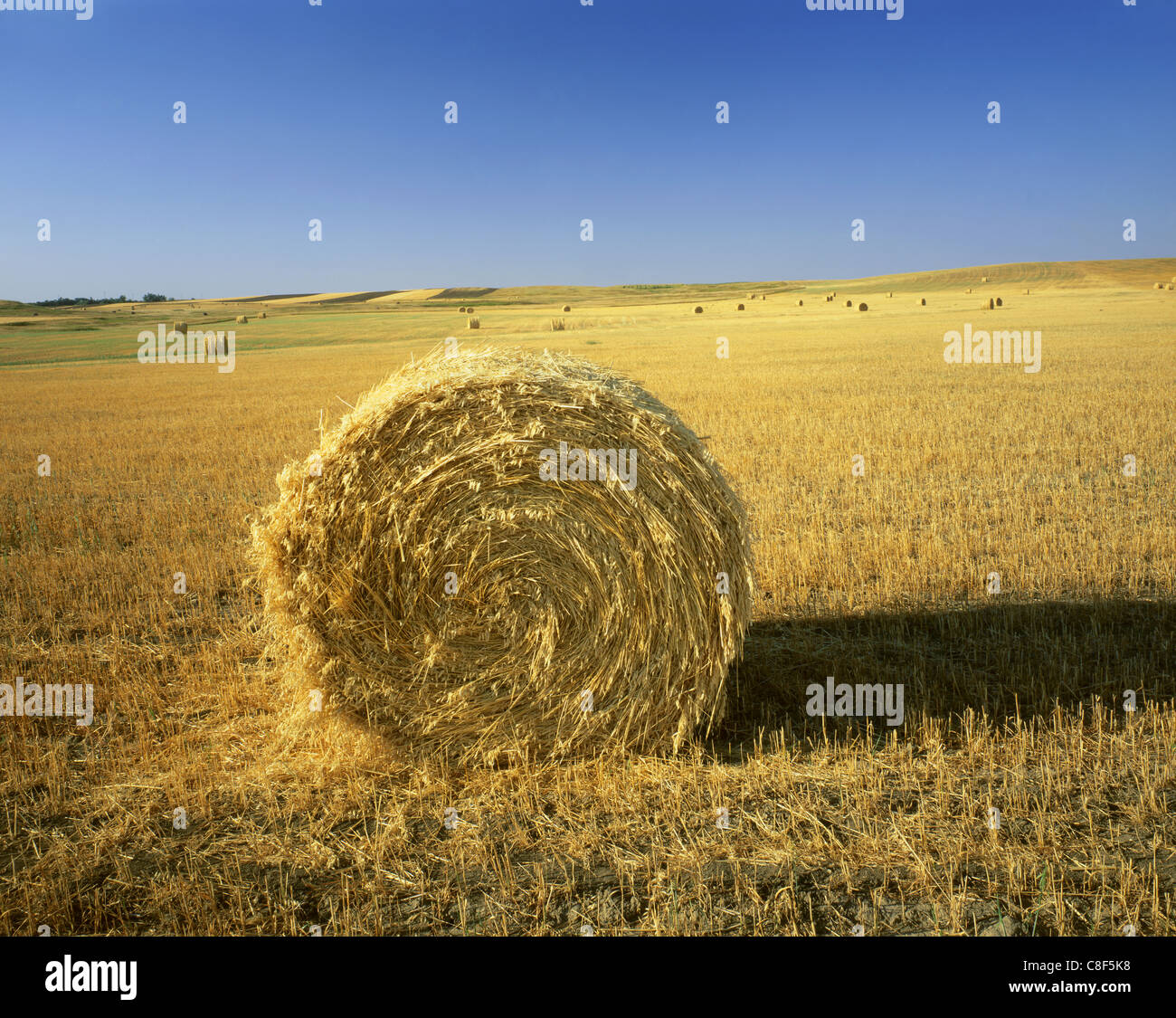 Vast farm lands hi-res stock photography and images - Alamy