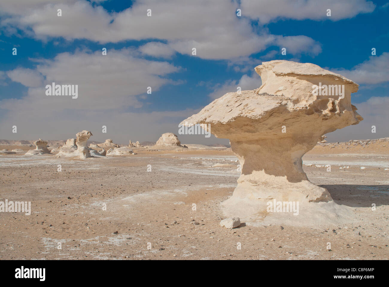 Calcium rich rock hi-res stock photography and images - Alamy