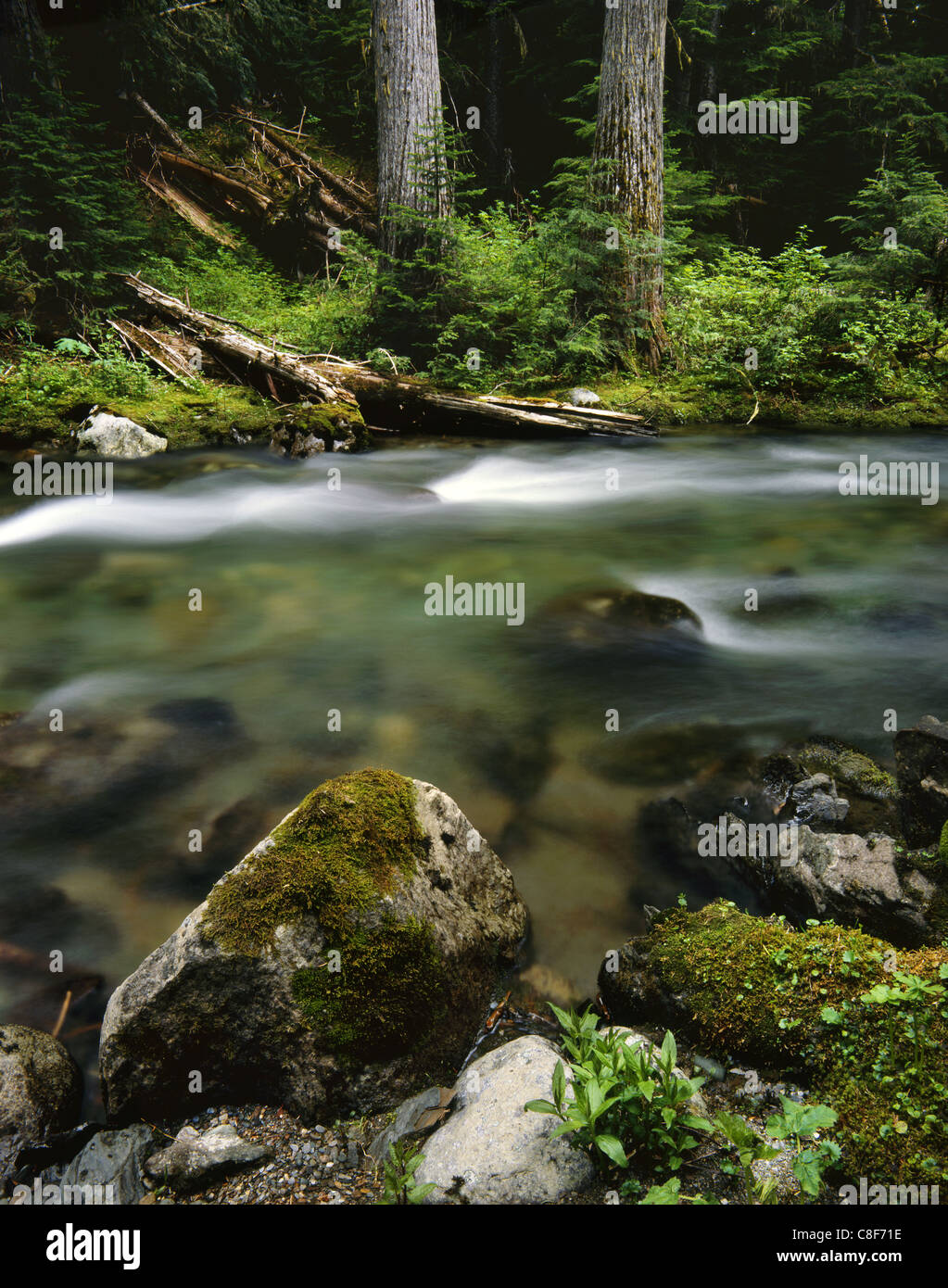 Salmo priest hi-res stock photography and images - Alamy