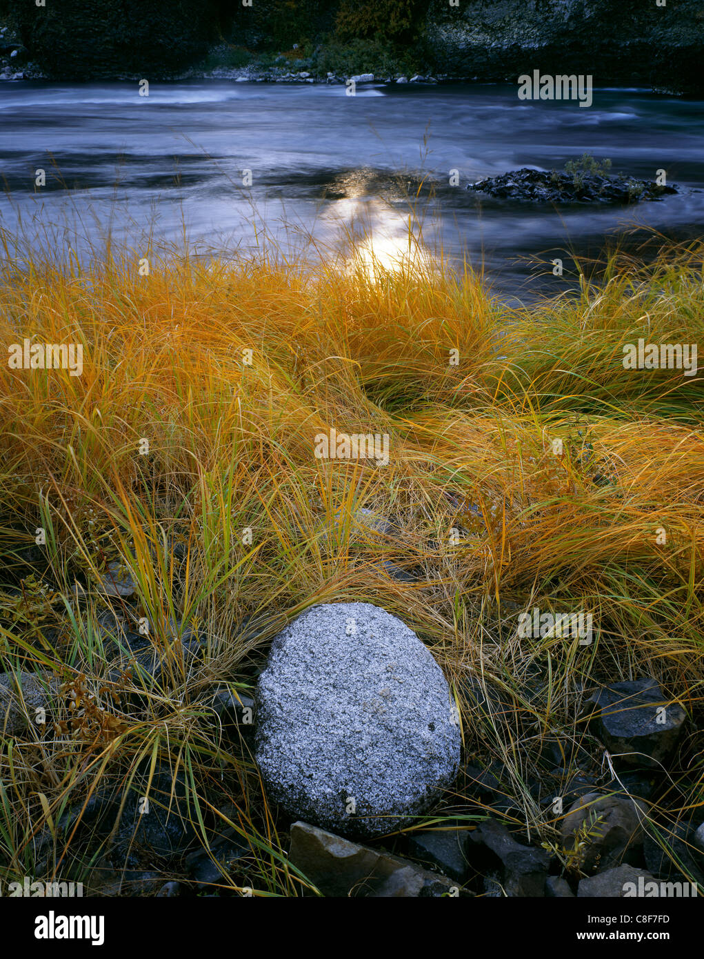 Riverside grass hi-res stock photography and images - Alamy
