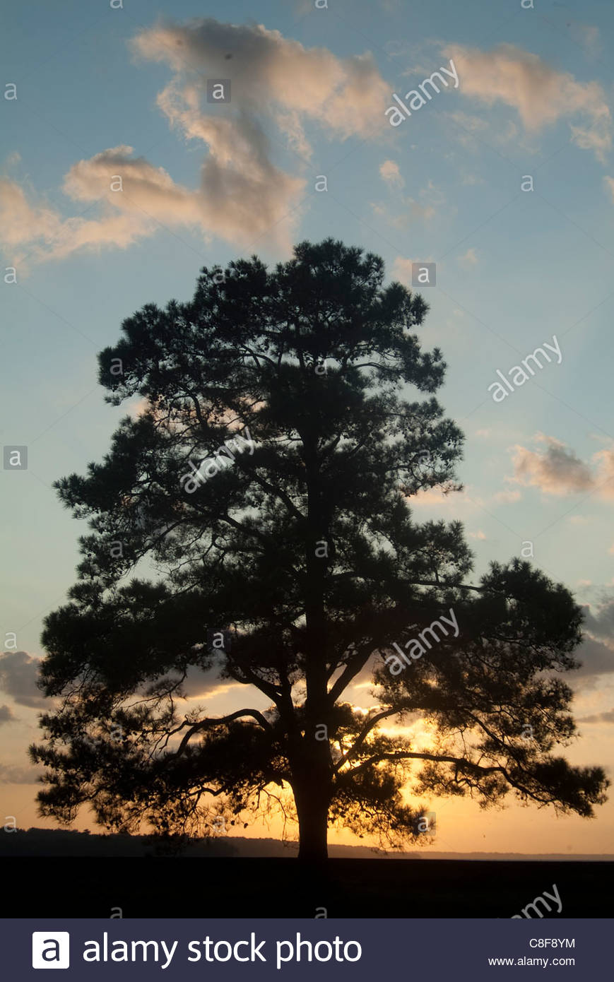 Powhatan Stock Photos & Powhatan Stock Images - Alamy