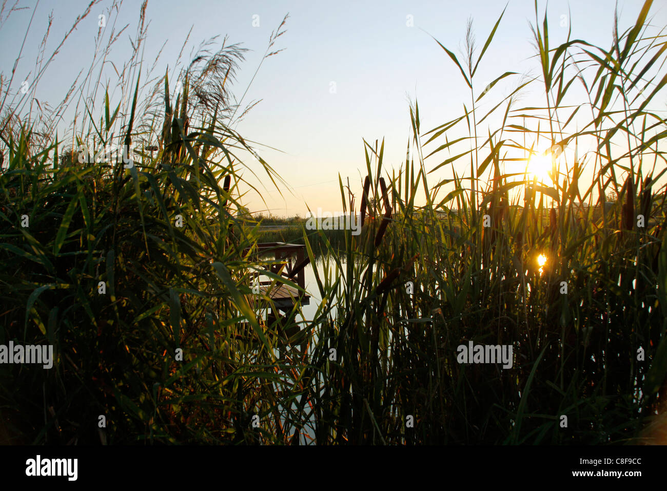 Sunrise over a pond Stock Photo - Alamy