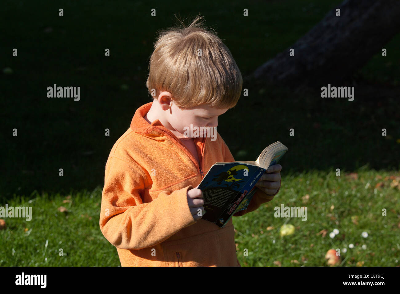 young boy reading a book Stock Photo - Alamy