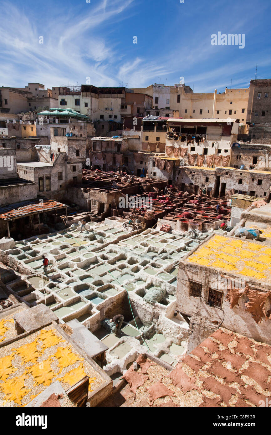 Morocco, North Africa, Africa, fez, Fez, fez, tanning, dye works ...