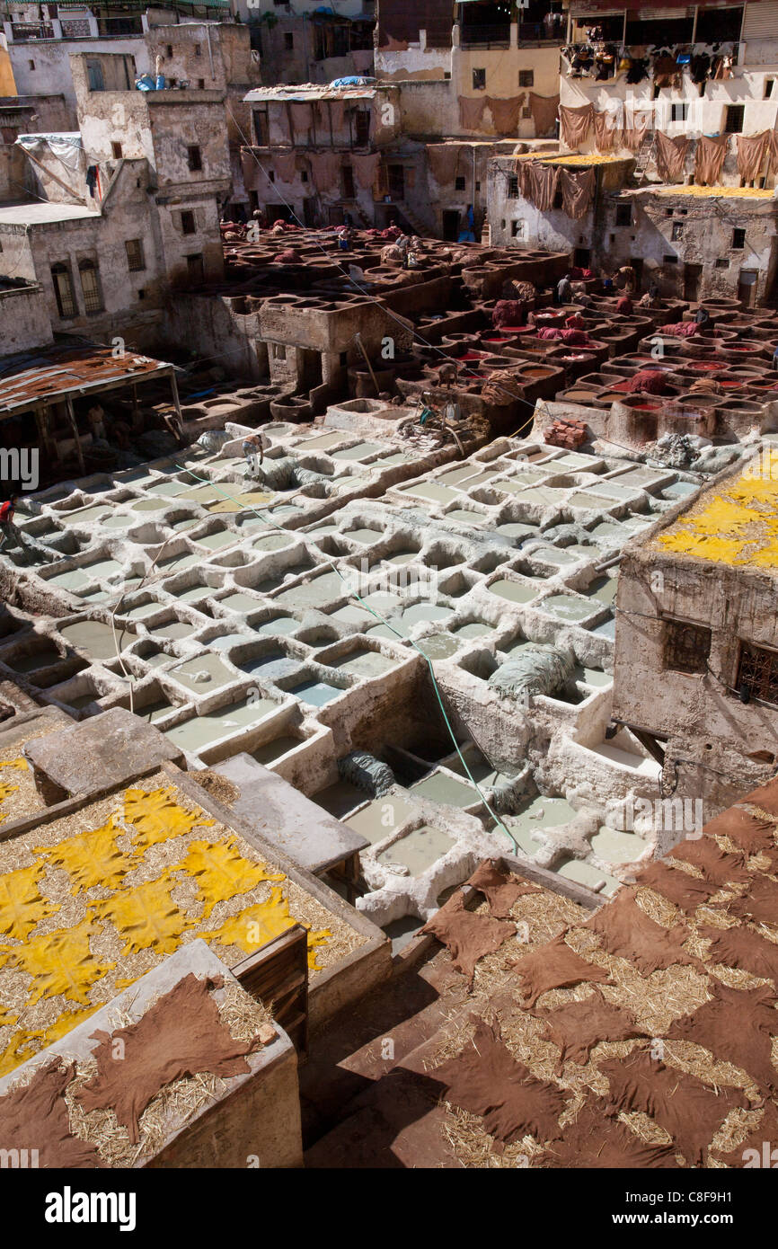 Morocco, North Africa, Africa, fez, Fez, fez, tanning, dye works ...