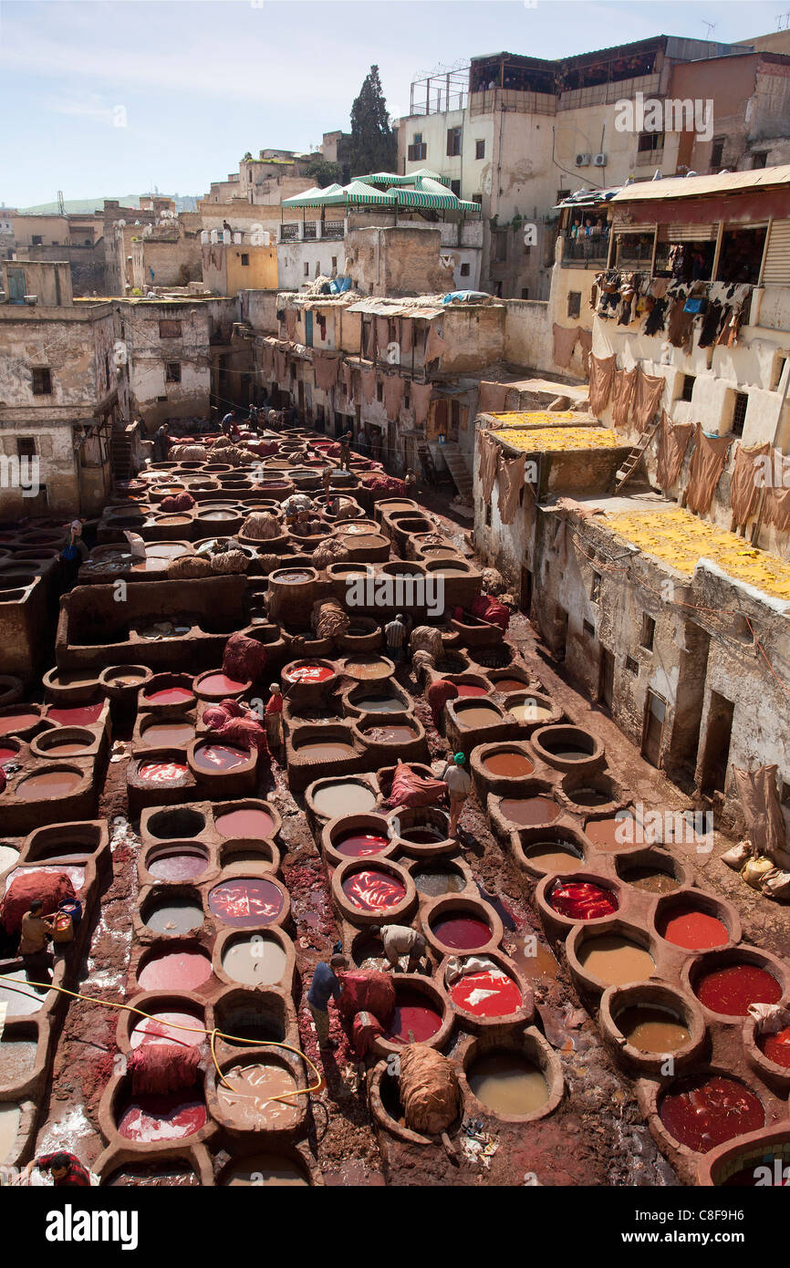 Morocco, North Africa, Africa, fez, Fez, fez, tanning, dye works ...