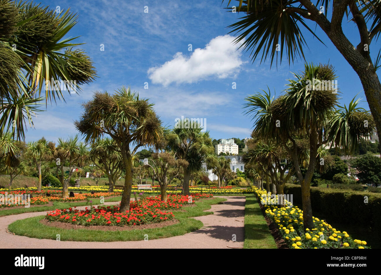 Torquay palm trees hi-res stock photography and images - Alamy