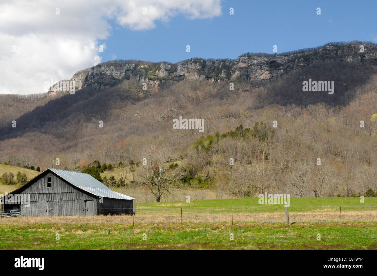 The White Cliffs of Cumberland Mountain, in Virginia, a well-known ...