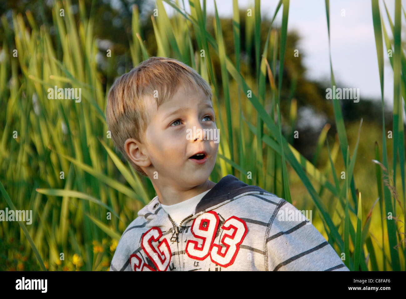 Child looking amazed nature hi-res stock photography and images - Alamy