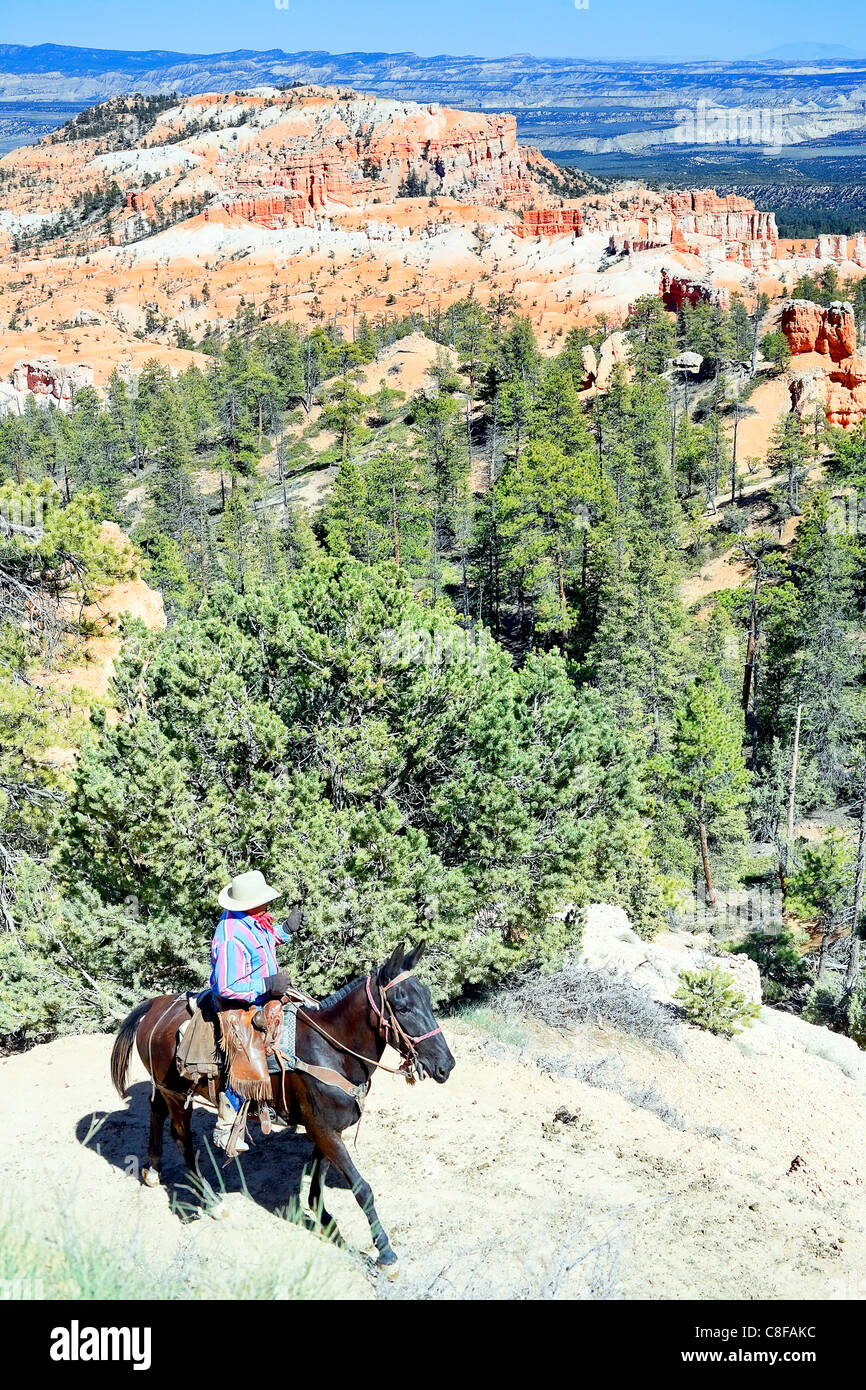 Rider canyon hi-res stock photography and images - Alamy