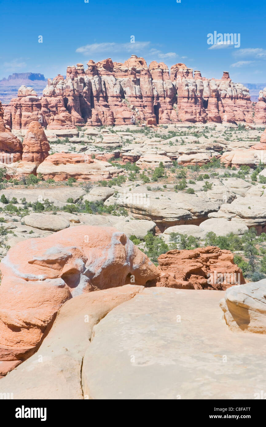 The Needles, Canyonlands National Park, Utah, United States of America ...