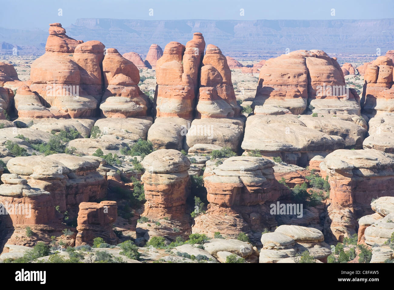 Rock formations, The Needles, Canyonlands National Park, Utah, United ...