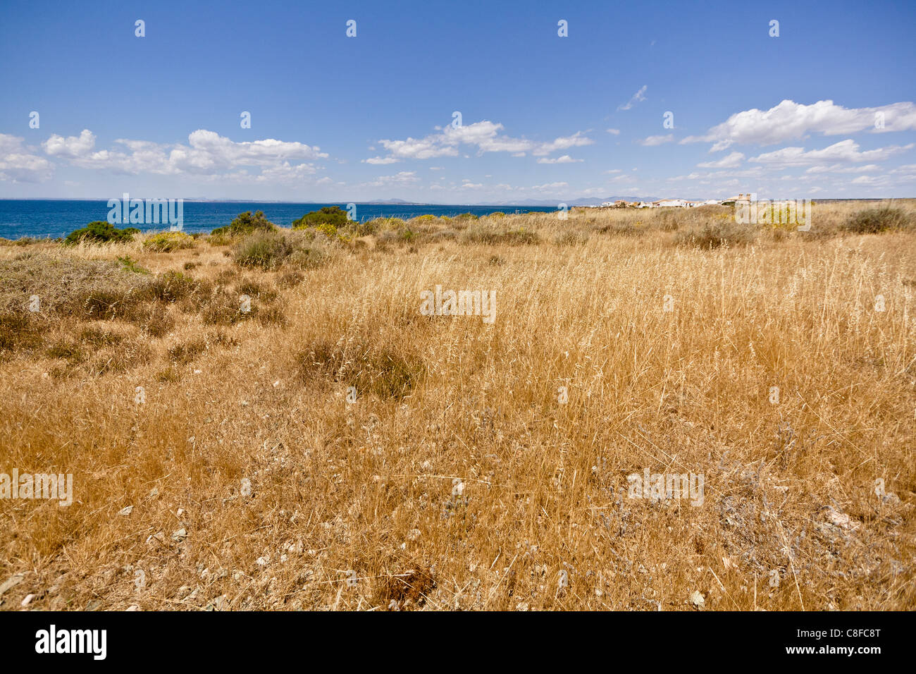 Nova land hi-res stock photography and images - Alamy