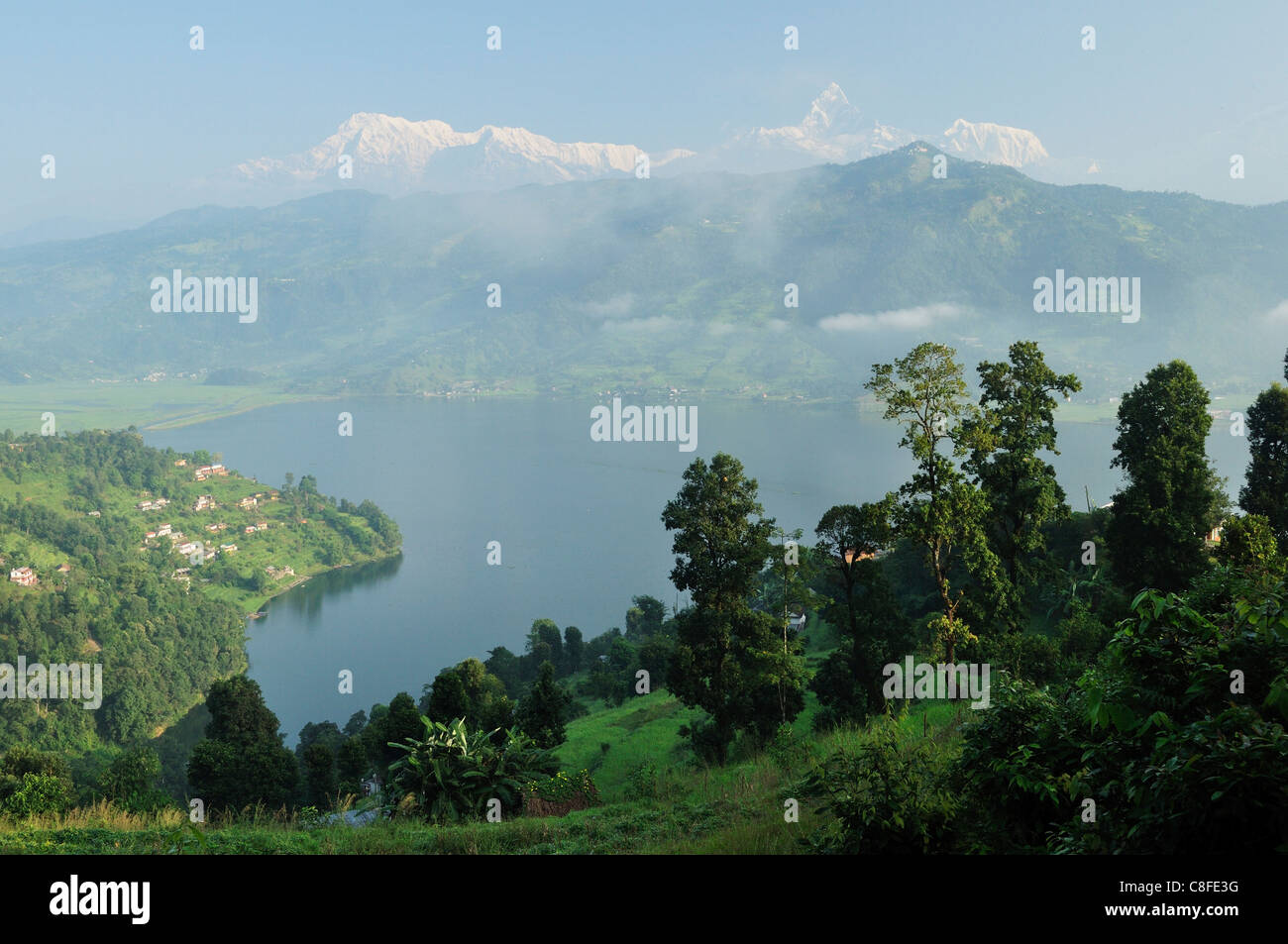 Phewa Tal (Phewa Lake) and Annapurna Himal and Machapuchare seen from ...