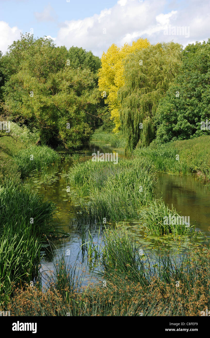 Near chippenham hi-res stock photography and images - Alamy