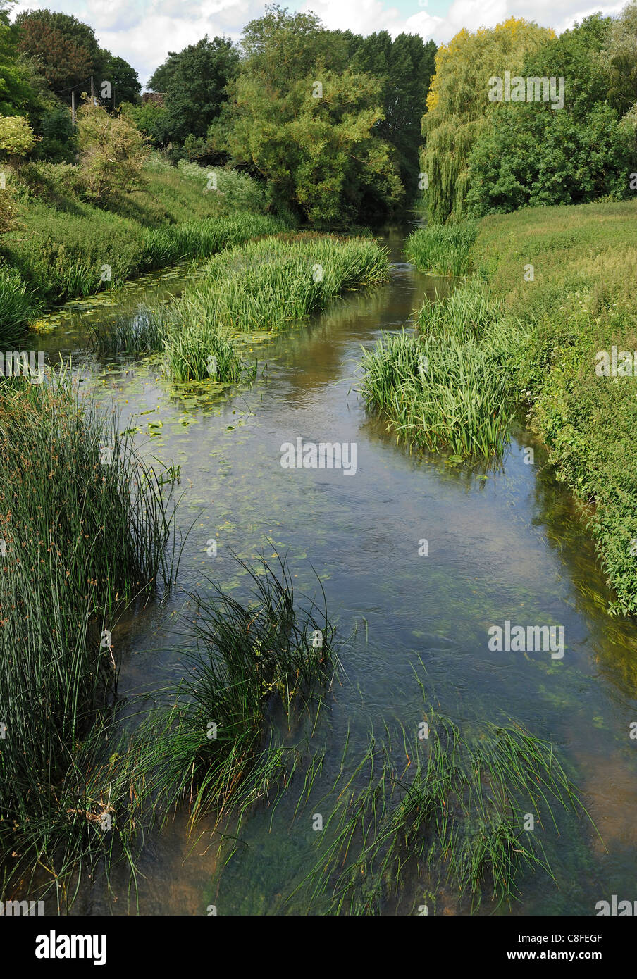 River Avon Lacock near Chippenham Wiltshire Stock Photo - Alamy