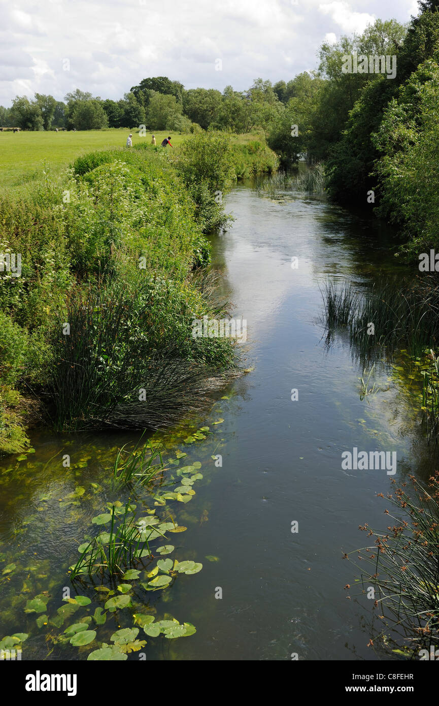 River Avon Lacock near Chippenham Wiltshire Stock Photo - Alamy