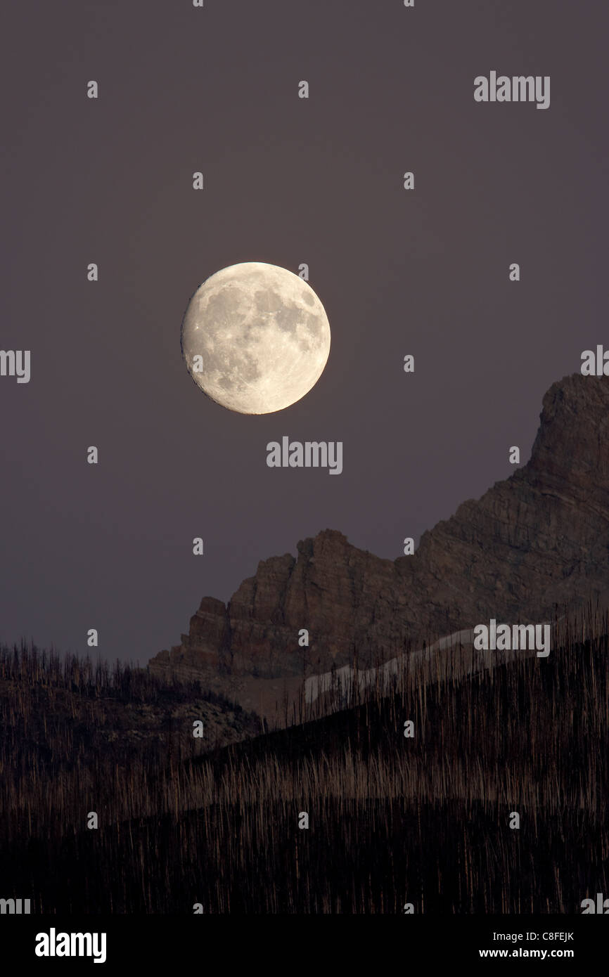 The moon rising, Glacier National Park, Montana, United States of ...