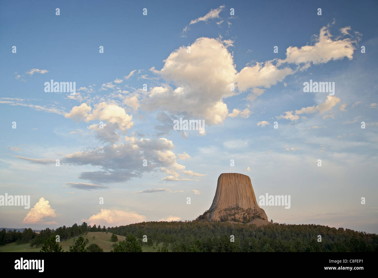 Devil's Tower, Devil's Tower National Monument, Wyoming, United States ...