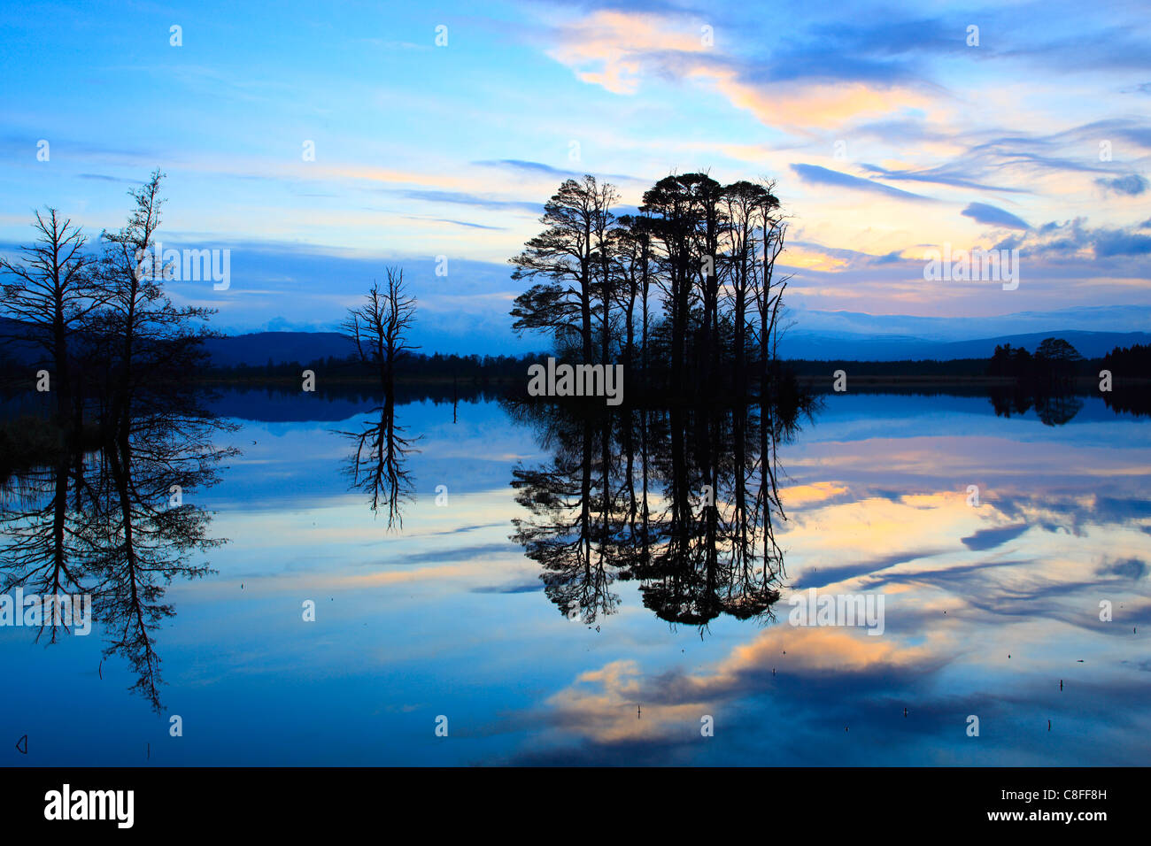 Evening, dusk, view, tree, mountain, trees, Cairngorms, highlands ...