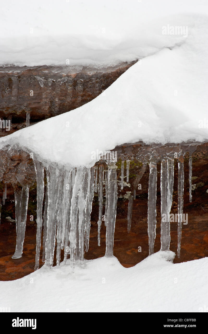 Icicles hanging from a rock with fresh snow, Zion National Park, Utah ...