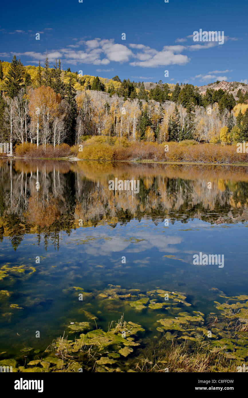 Fishlake national forest hi-res stock photography and images - Alamy